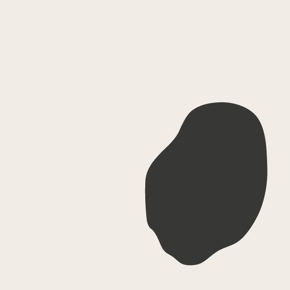 NIEUW – NIEF COLLECTIEF